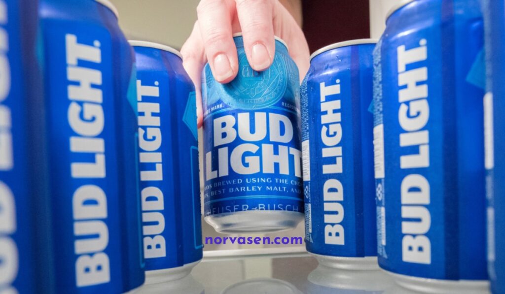 Bud Light Can: Your Easy-Drinking Companion for Fun - Norvasen