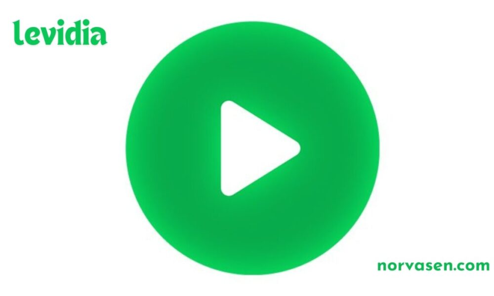 Stream Your Favorites for Free – A Deep Dive into Levidia - Norvasen