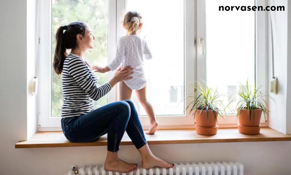 The Benefits of Investing in Privacy Glass Windows for Your Home - Norvasen