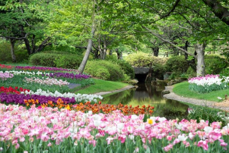 How to Create a Stunning Flower Garden: Step-by-Step Guide - Norvasen