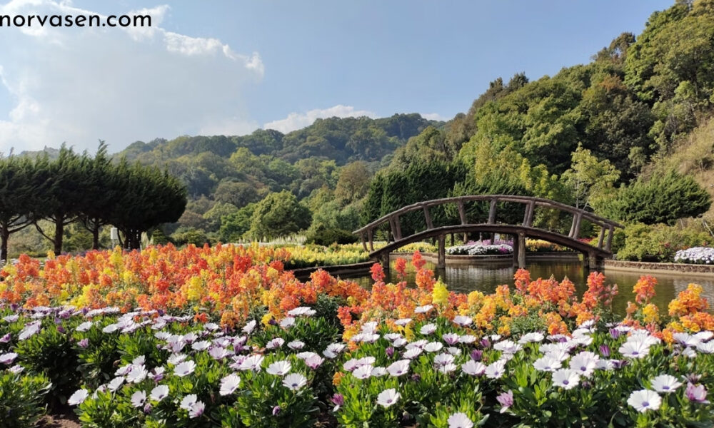 How to Create a Stunning Flower Garden: Step-by-Step Guide - Norvasen