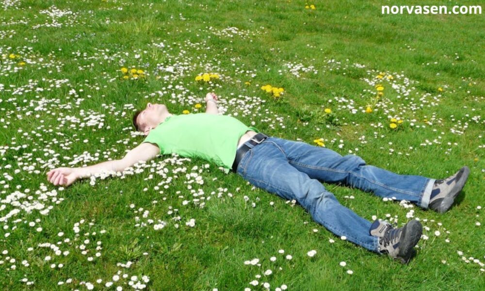 The Ultimate Guide to Chill Summer Activities to Do with Your Friends ...